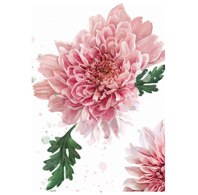 Vihko A5 Kukka Krysanteem - Muovitukku